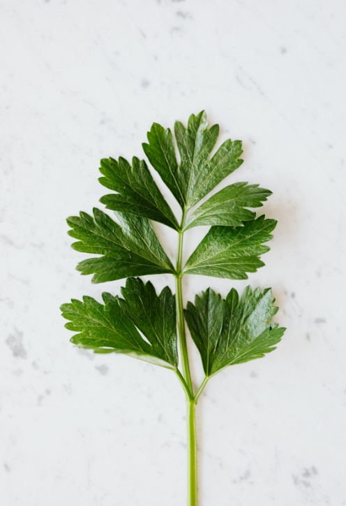 Fermenting room | Microbiome Center